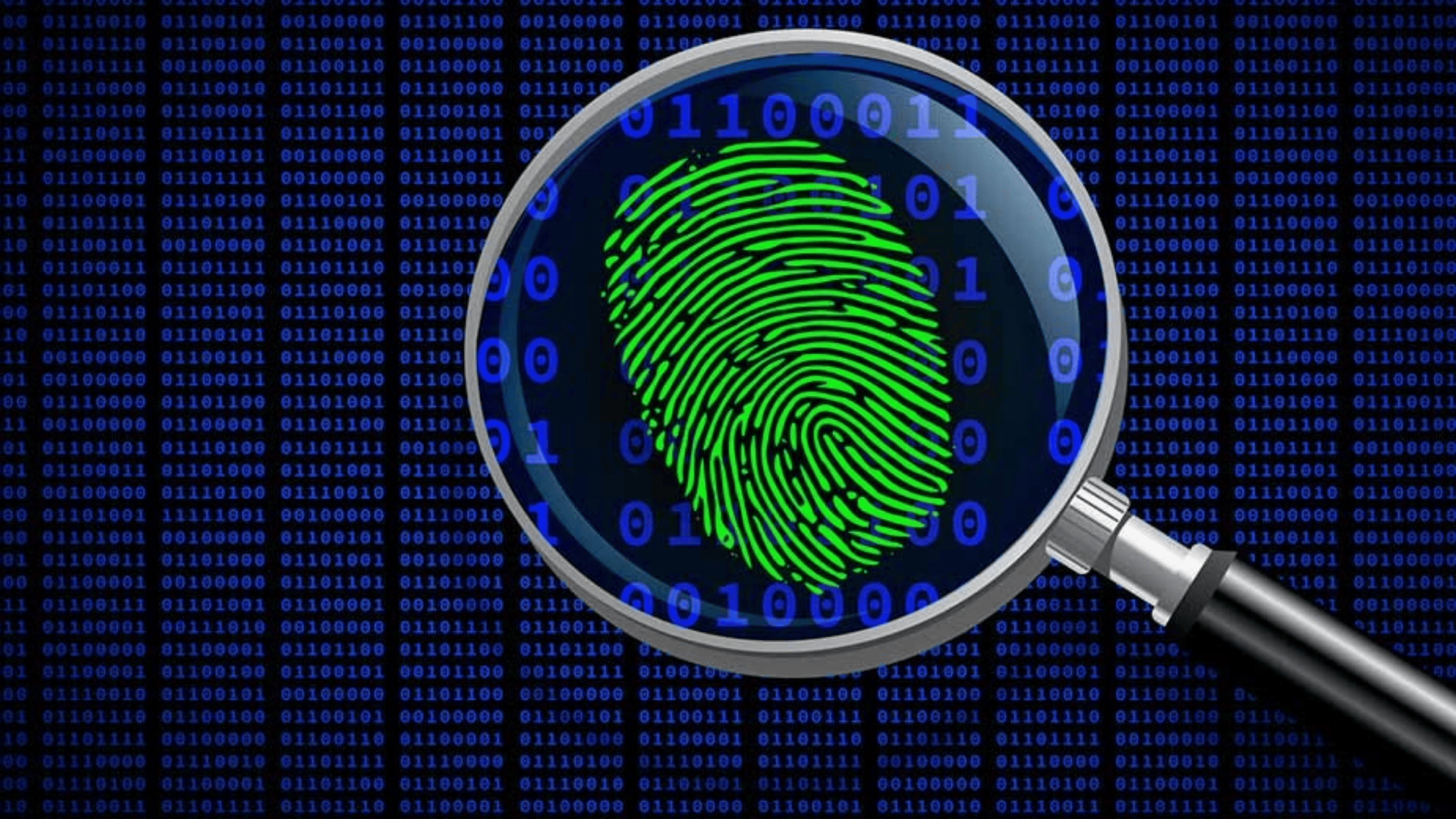 Haxcamp - Cybersecurity Learning Platform | Hands-on Security Training