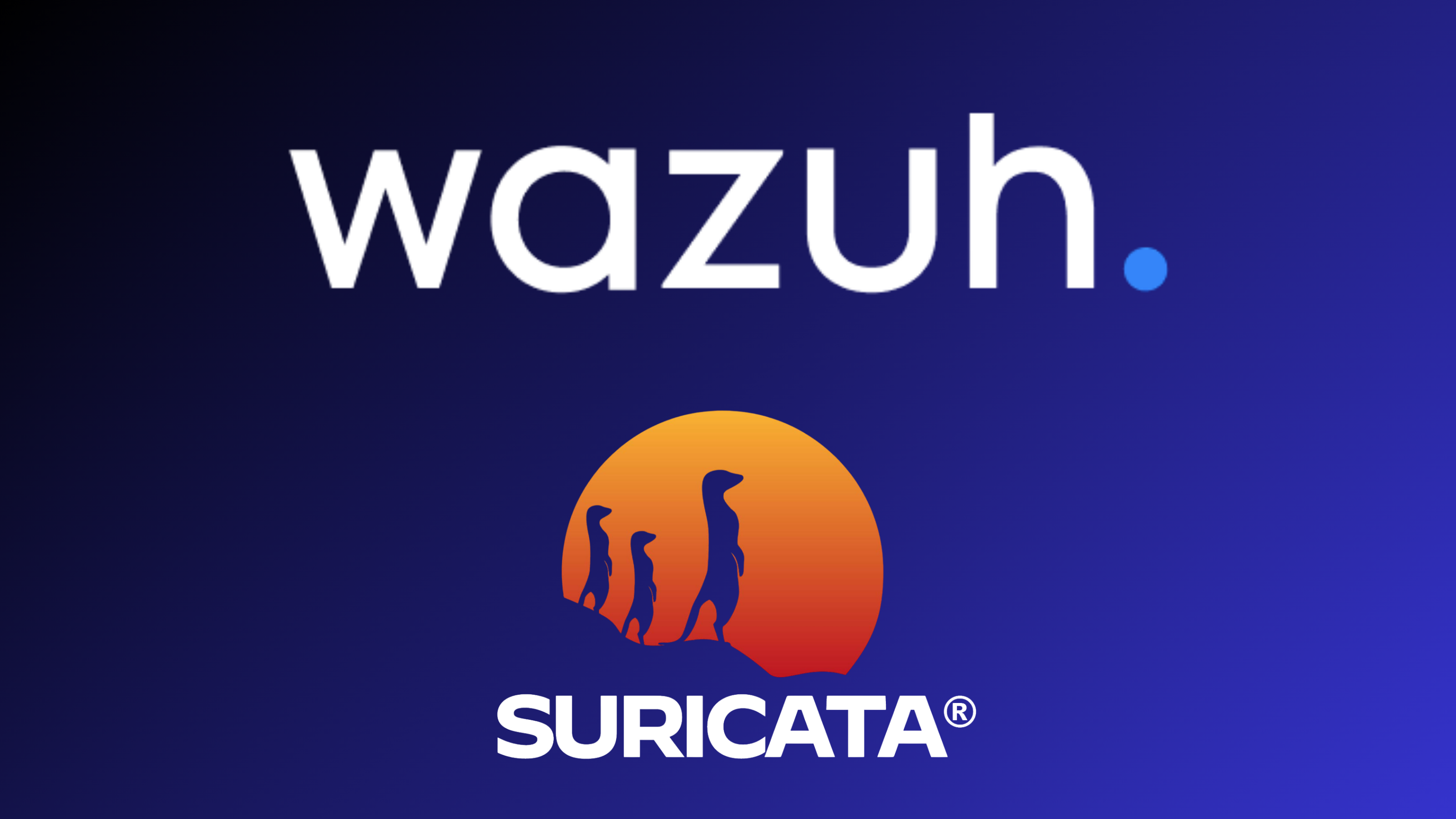 Haxcamp - Cybersecurity Learning Platform | Hands-on Security Training